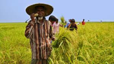 Development and transformed rural landscapes in Bangladesh: The ...