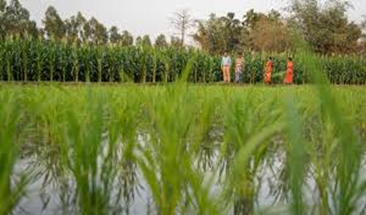 Development and transformed rural landscapes in Bangladesh: The ...